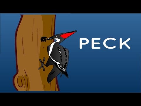 Peck