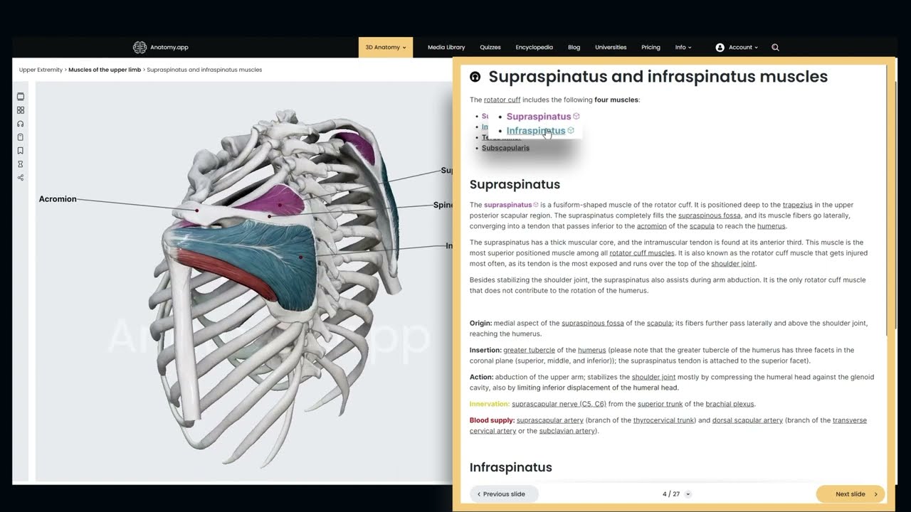 Anatomy.app walkthrough | Learn human anatomy fast with our 3D anatomy learning platform
