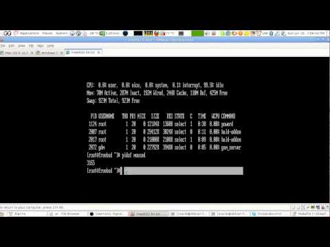 Lesson 9 FreeBSD Unix: Managing Processes. (English Version)