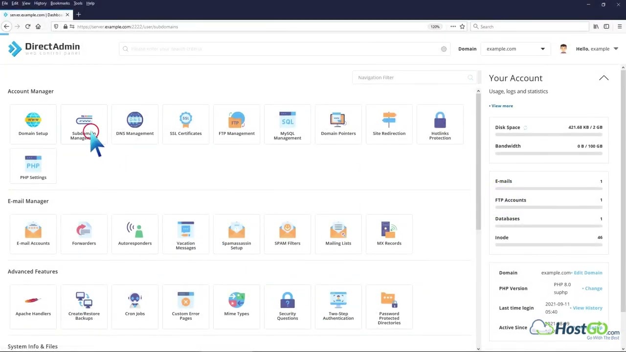 How to add sub domain in DirectAdmin   HostGo