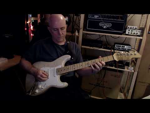 James Tyler USA Classic Transparent White | Reverb