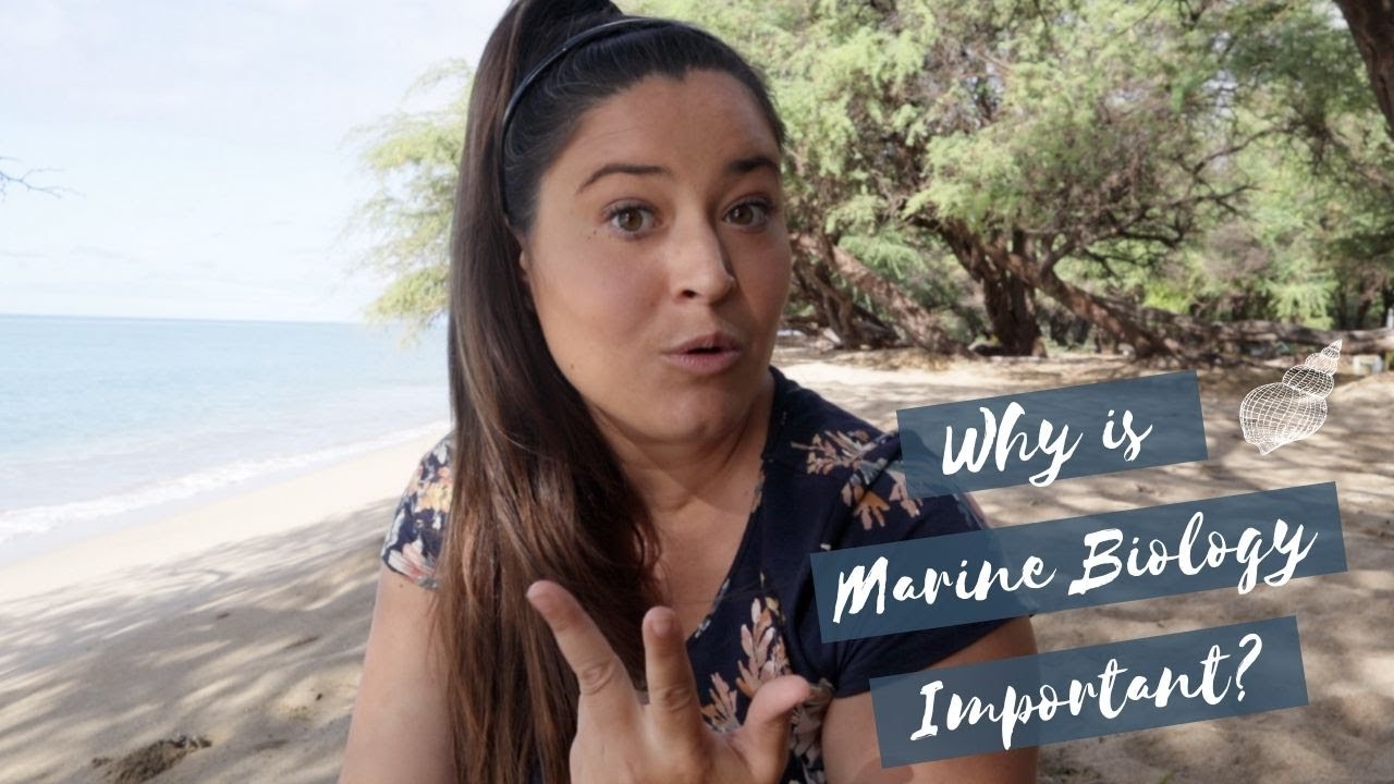 Why is Studying the Ocean Important?
