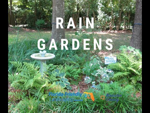 Florida-Friendly Landscaping: Rain Gardens