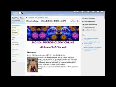 Adding Images & video to a CANVAS Discussion