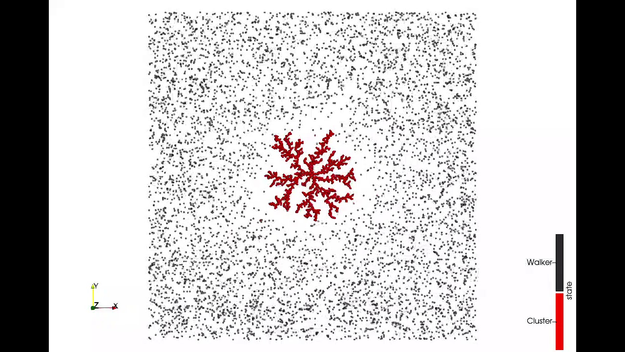 Diffusion Limited Aggregation Simulation