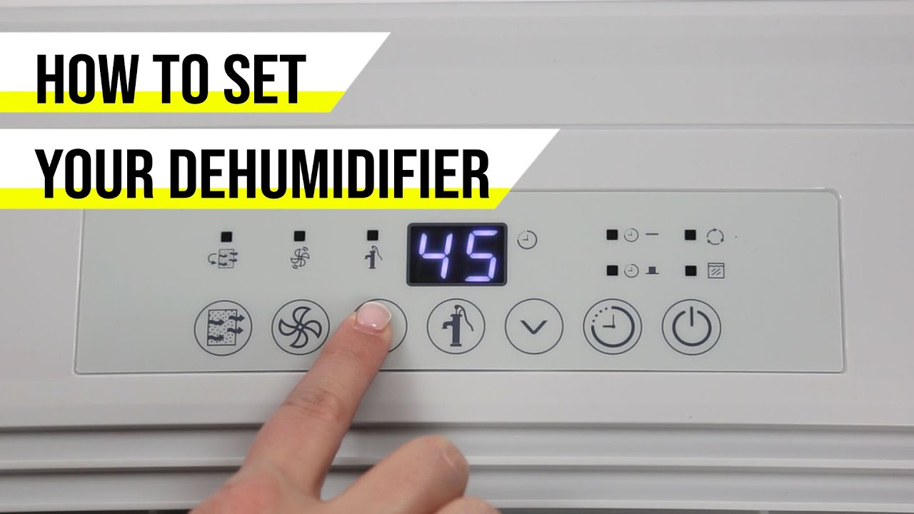 How to Set Your Dehumidifier | Sylvane