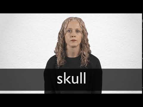 SKULL definition and meaning | Collins English Dictionary