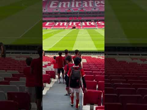 Benfica Stadium 🏟️ beautiful #lisbon #travel #benfica
