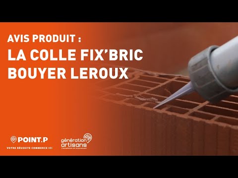 BIO'BRIC - Colle haute adhérence pour brique bgv20 Fix'bric - poche de ...