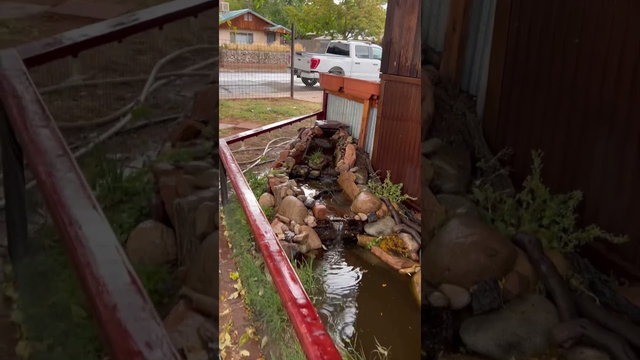 Salamander Pond Build. Link above 👆