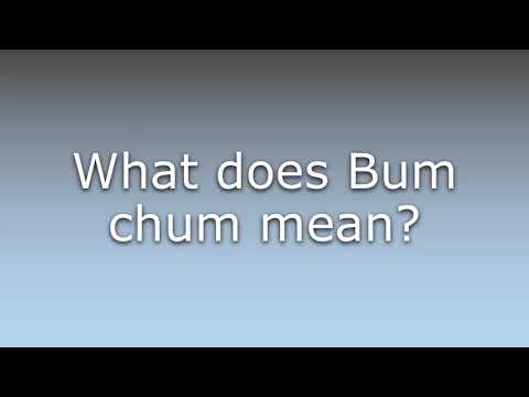 What does Bum chum mean?