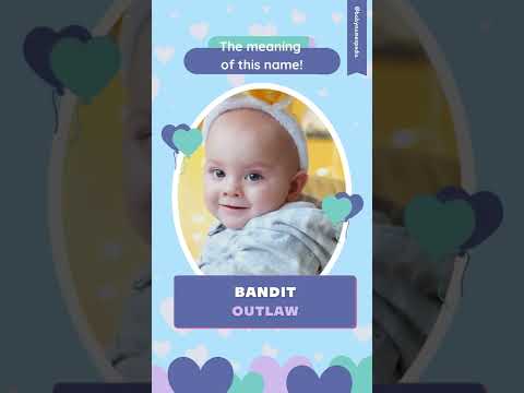 BabyNamesPedia Shorts - What Does Bandit Mean?