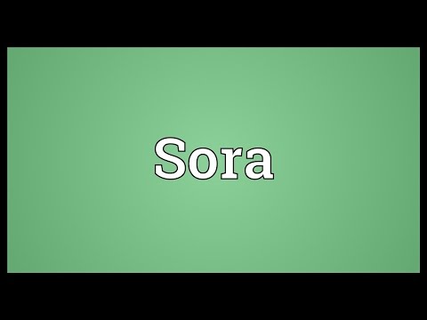 Sora Meaning