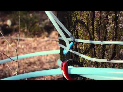 David- Freedom and Unity VT Film- What Vermont Stands For