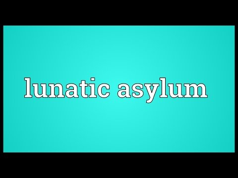 Lunatic asylum Meaning