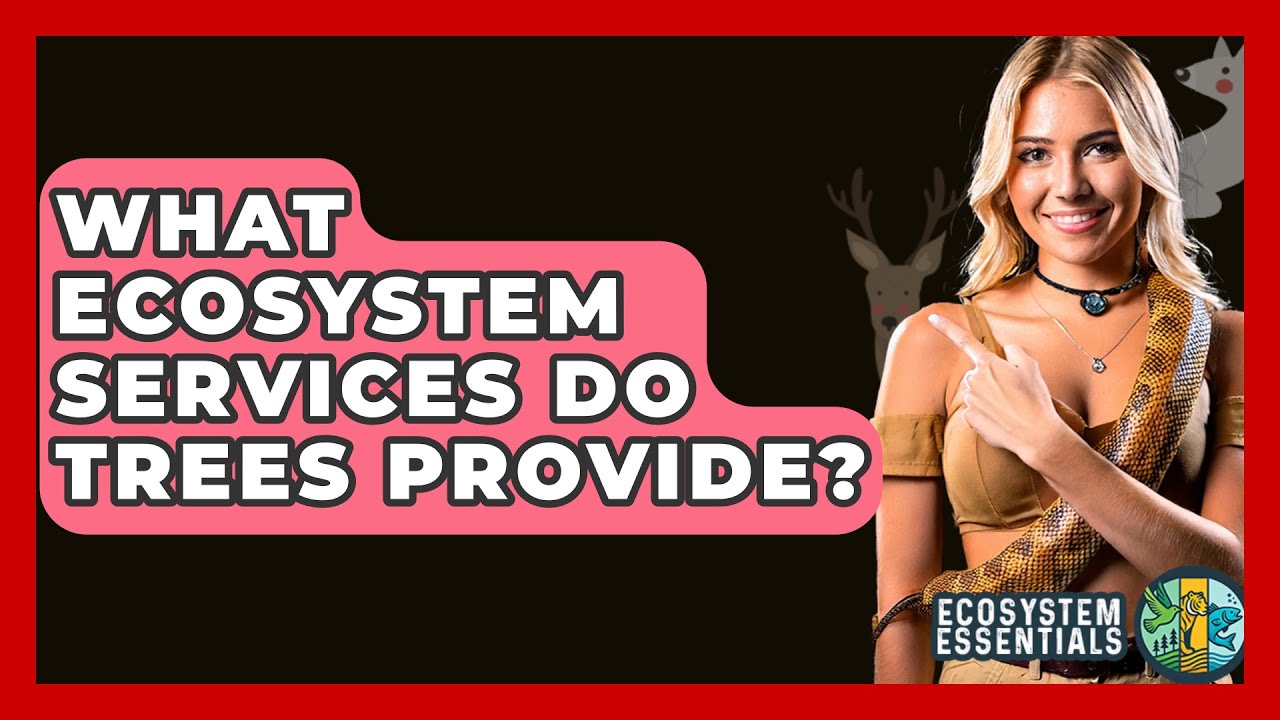 What Ecosystem Services Do Trees Provide? - Ecosystem Essentials