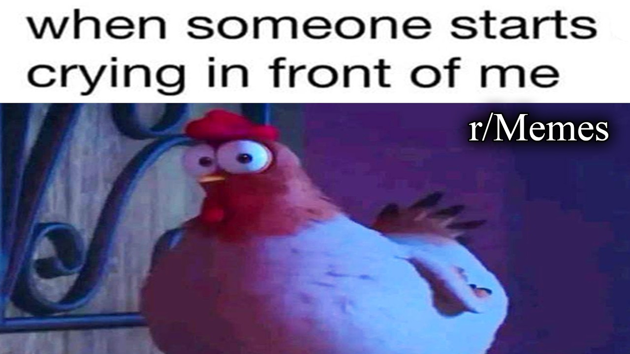the freshest memes we could find