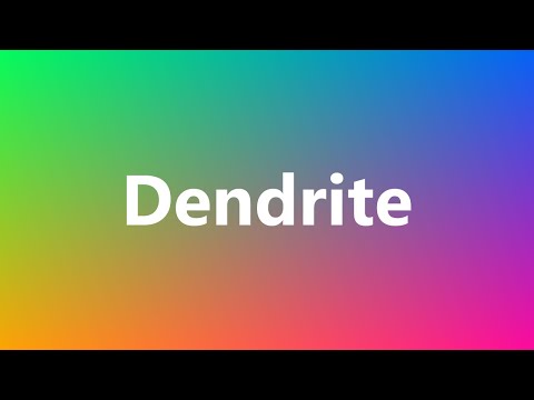 Dendrite - Medical Meaning and Pronunciation