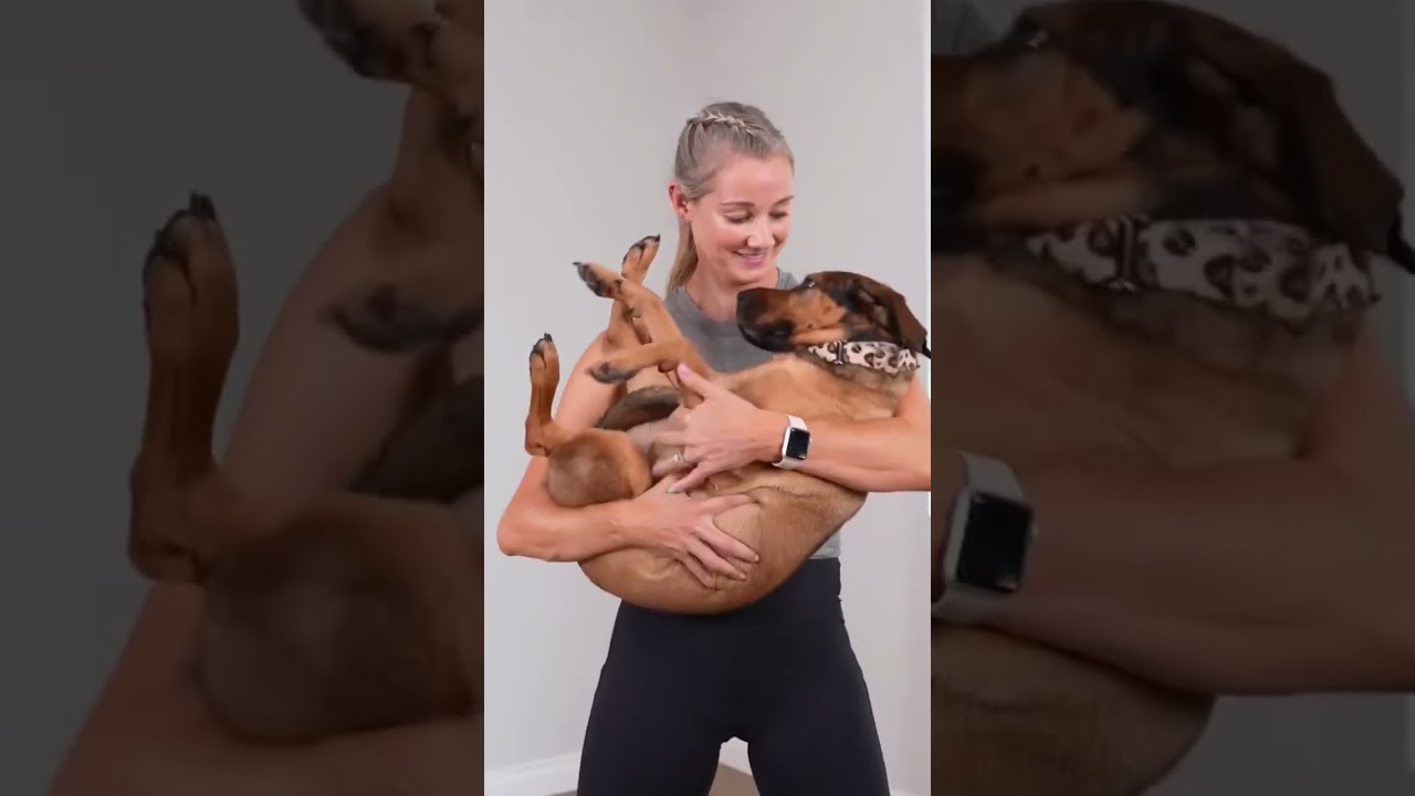 Working Out With Your Fur Trainer