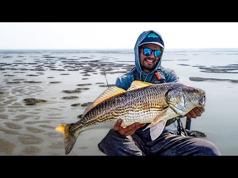 Exploring Charleston Sound: Beast Redfish at low tide