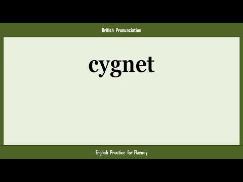 cygnet, How to Say or Pronounce CYGNET in American, British, Australian English