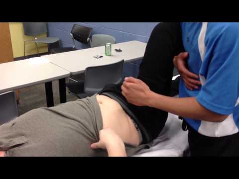 Navicular tuberosity and Psoas Major palpation.