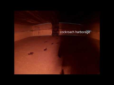 Ecolab Cockroach Flushing Demo