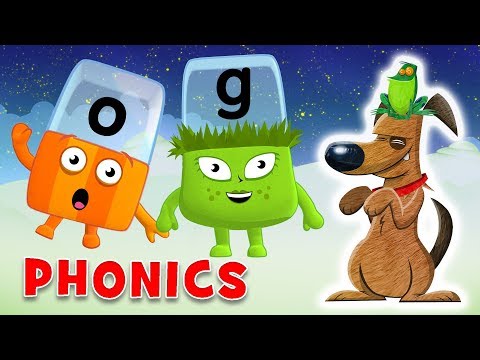 Today I Learned | Rhyming Words | DOG & FROG