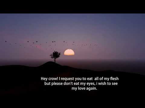 Nadan parinda || meaning of this song in english 💗 ~~~