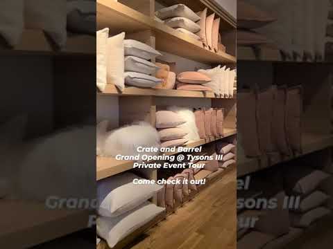 Crate and Barrel Tysons, VA Grand Opening!!