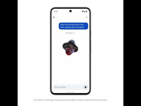 Google Photos Ask Photos Demo