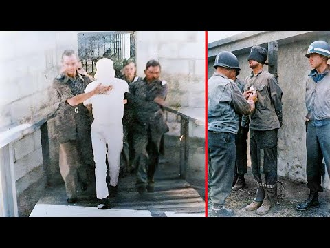 Ostatnie Dni Europejskich Ochotników w Waffen-SS