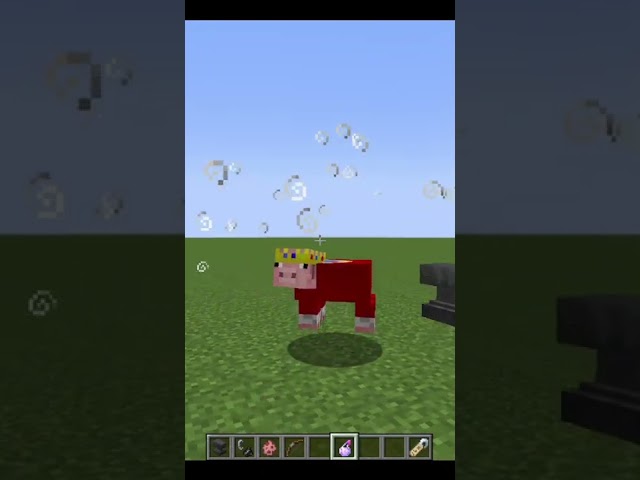 Technoblade Easter Egg (optifine) Minecraft Texture Pack