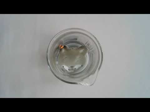 copper reacting with silver nitrate solution
