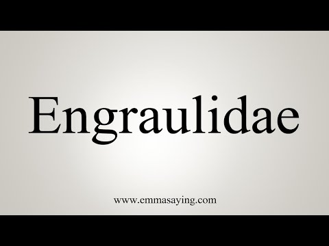 How To Pronounce Engraulidae
