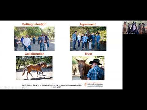 Razelle Drescher, USA: Webinar on Working with Horses for Leaders and Teams.