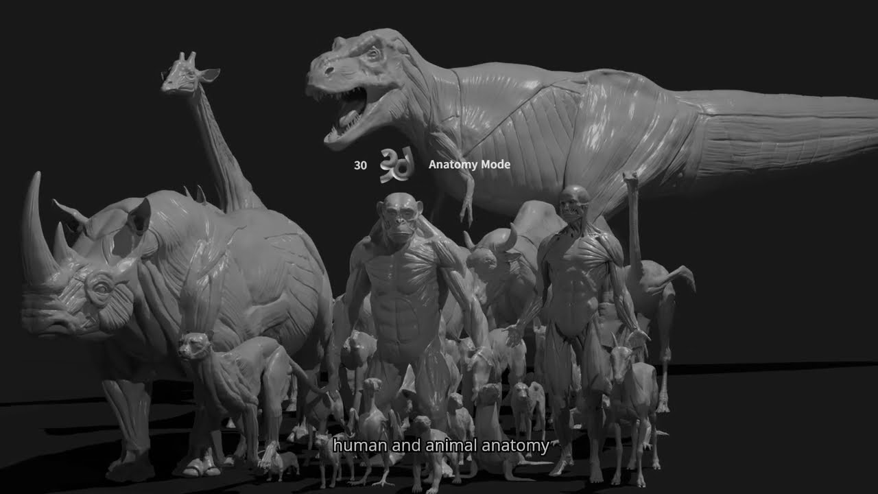 30 Human & Animal Anatomy 3D Models Now Available