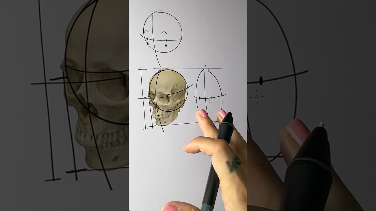 ART: Oval vs Circle Head Start! ✏️ #art #tutorial #anatomy