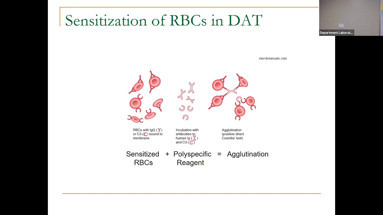 BloodBank Lecture 5 2020