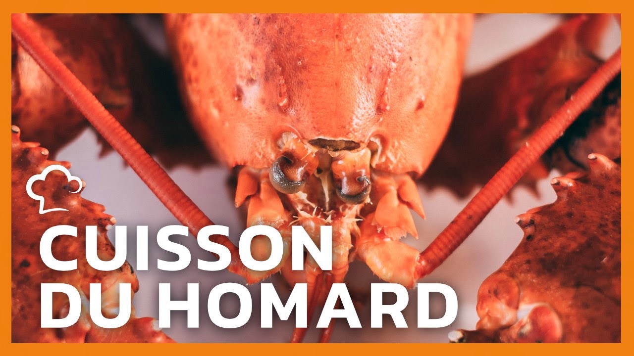 How to cook lobster 🦞 | Food'Cuisine