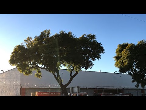 Mills Act California