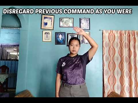 Military Hand and Arm Signals