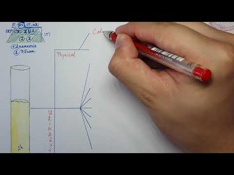 Urinary tract infections UTI part 2/2