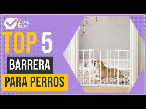 Barrera para perros - Top 5 - (CuálElijo)