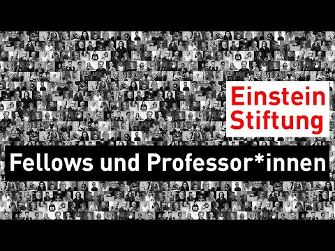 Fellows und Professoren der Einstein Stiftung Berlin