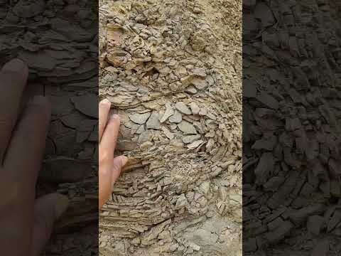 Tanah clay shale. Kuat saat masi didalam, dan tiba tiba lemah saat terbuka (kena air dan udara)