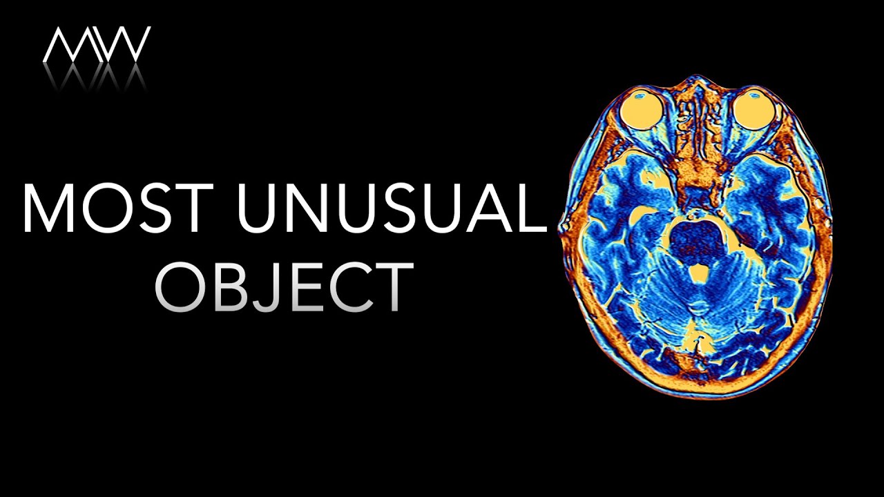 The Forbidden Science of Human Intelligence