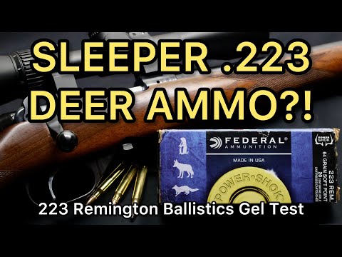 .223 DEER/VARMINT AMMO?! 223 Remington Federal Powershok 64gr Ammo Test