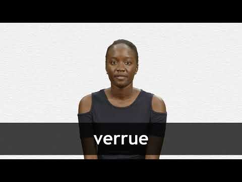 English Translation of “VERRUE” | Collins French-English Dictionary