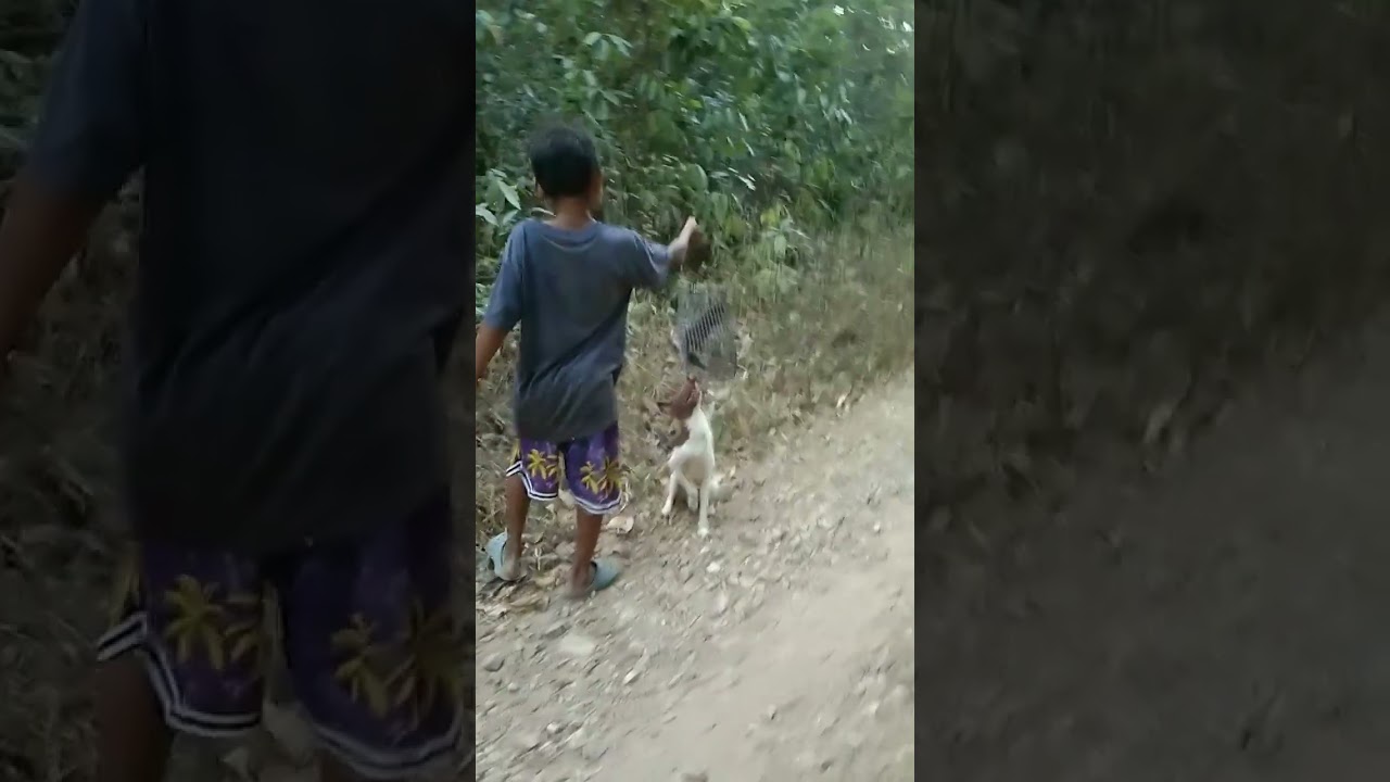 galit na galit gustong manakit